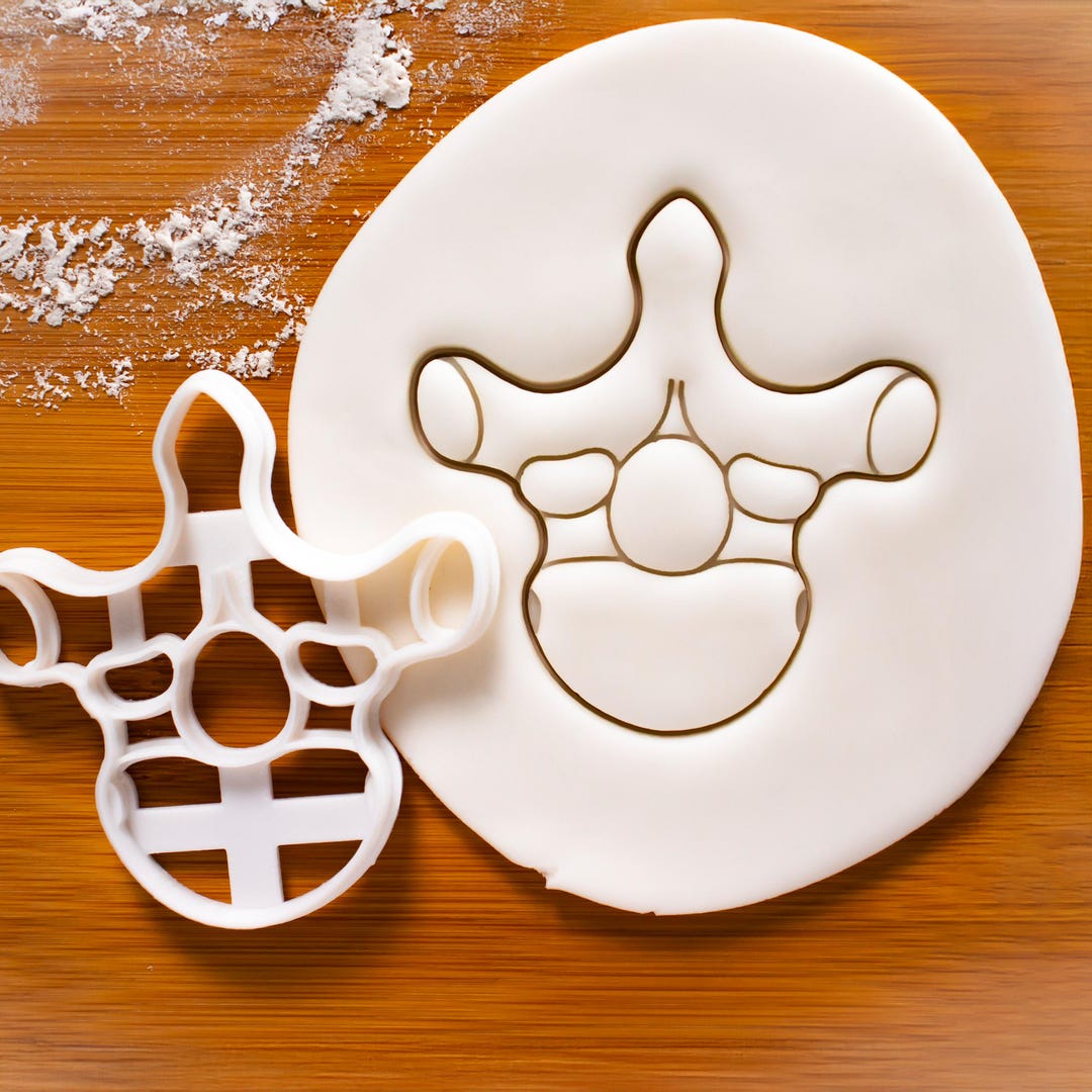 Thoracic Vertebra Cookie Cutter - Medical Science Human Spine Anatomy ...