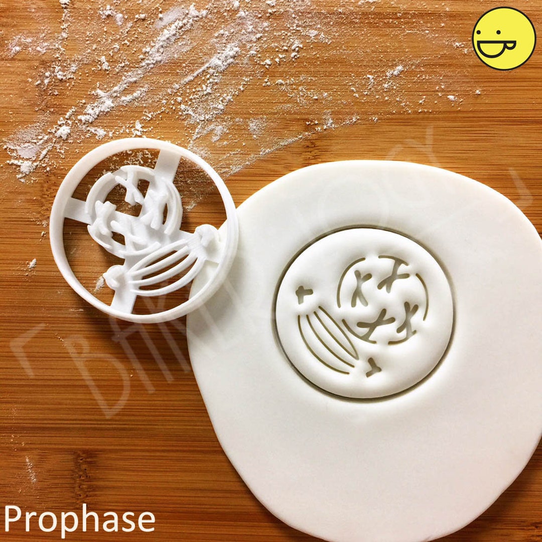 Prophase Cookie Cutter Mitosis Biscuit Cutters Cell Cycle - Etsy