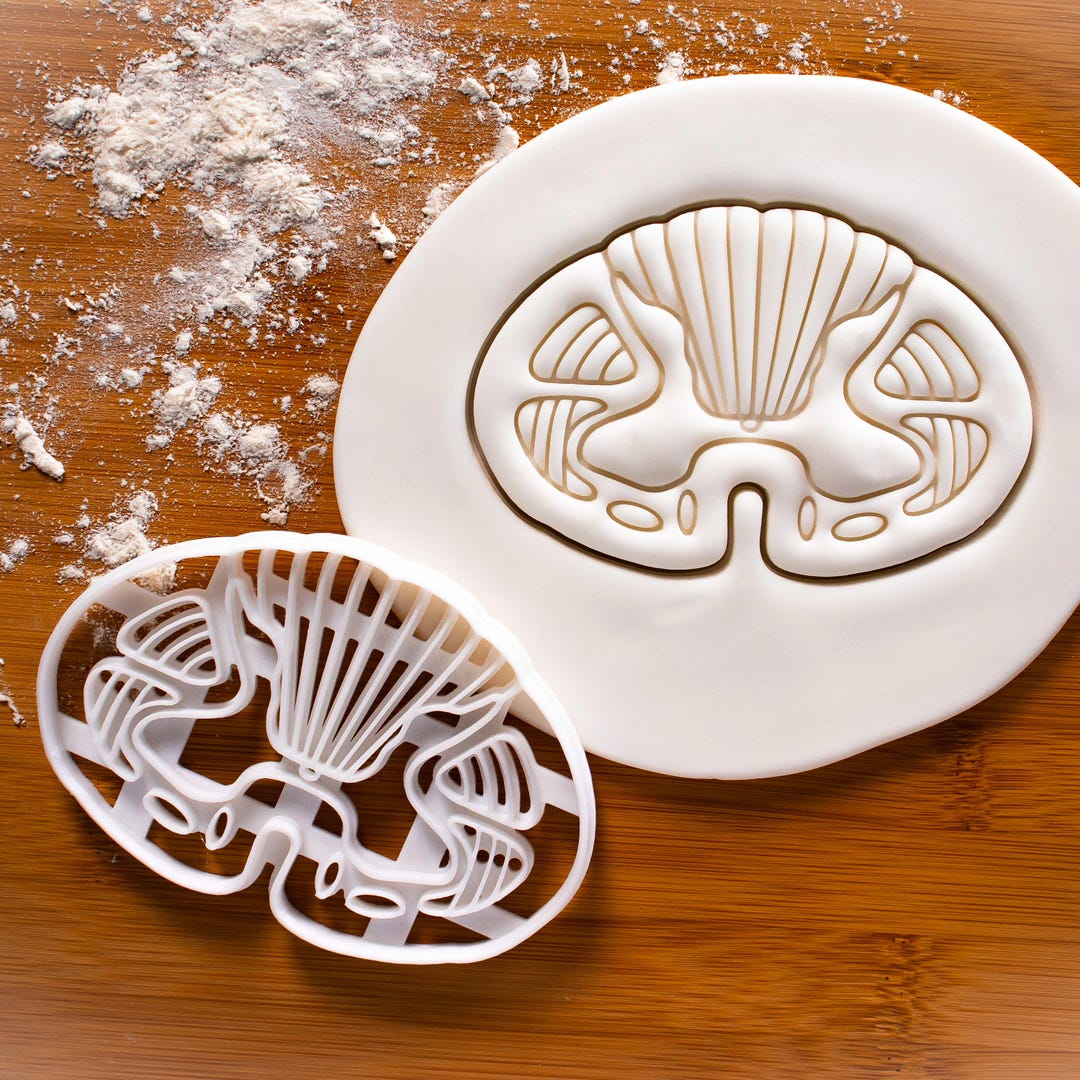 Spinal Transverse Cookie Cutter | Bakerlogy Biscuit Cutters Central ...