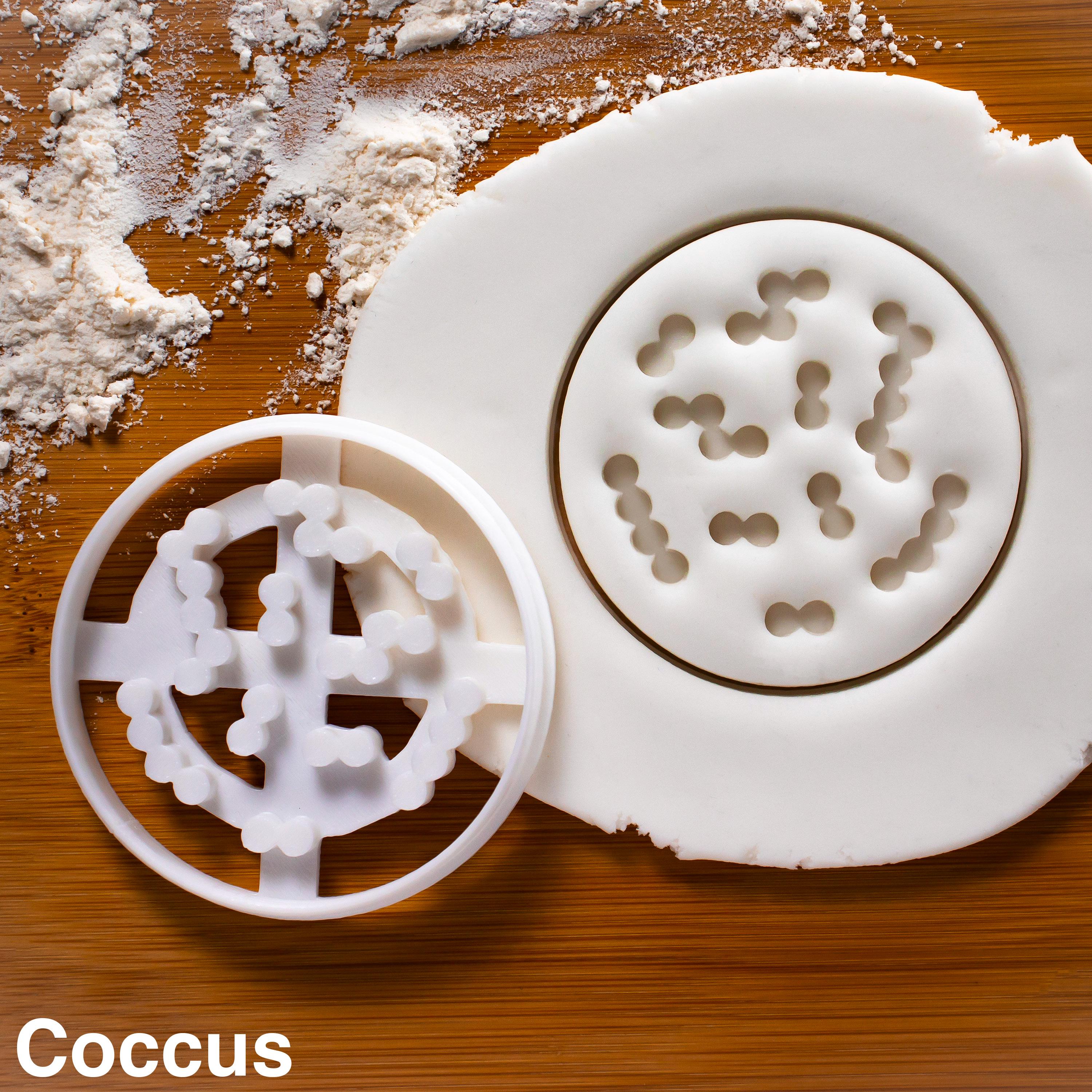 Bacillus Bacteria Cookie Cutter: Microbiology, Science - Etsy