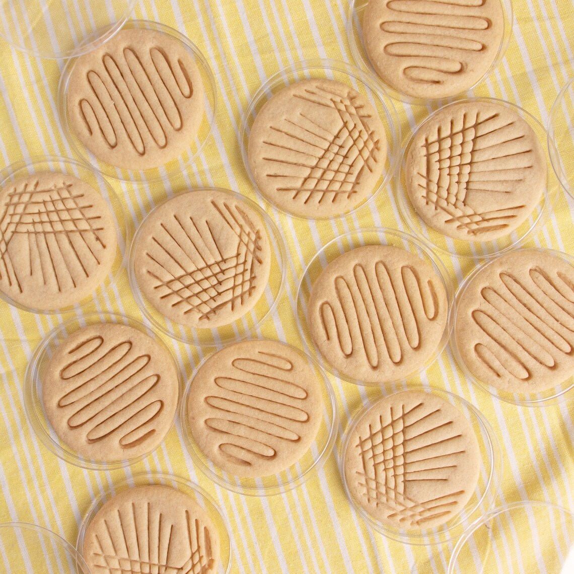 Continuous Streak Cookie Cutter Petri Dish Streaking Biscuit | Etsy