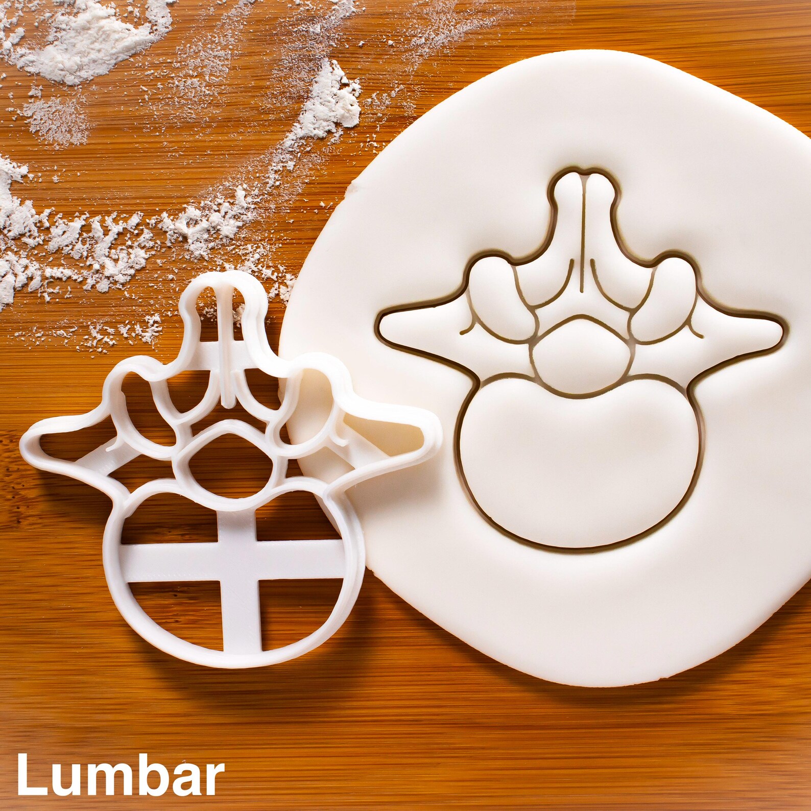 Lumbar Vertebra Cookie Cutter - Medical Science Human Spine Anatomy ...