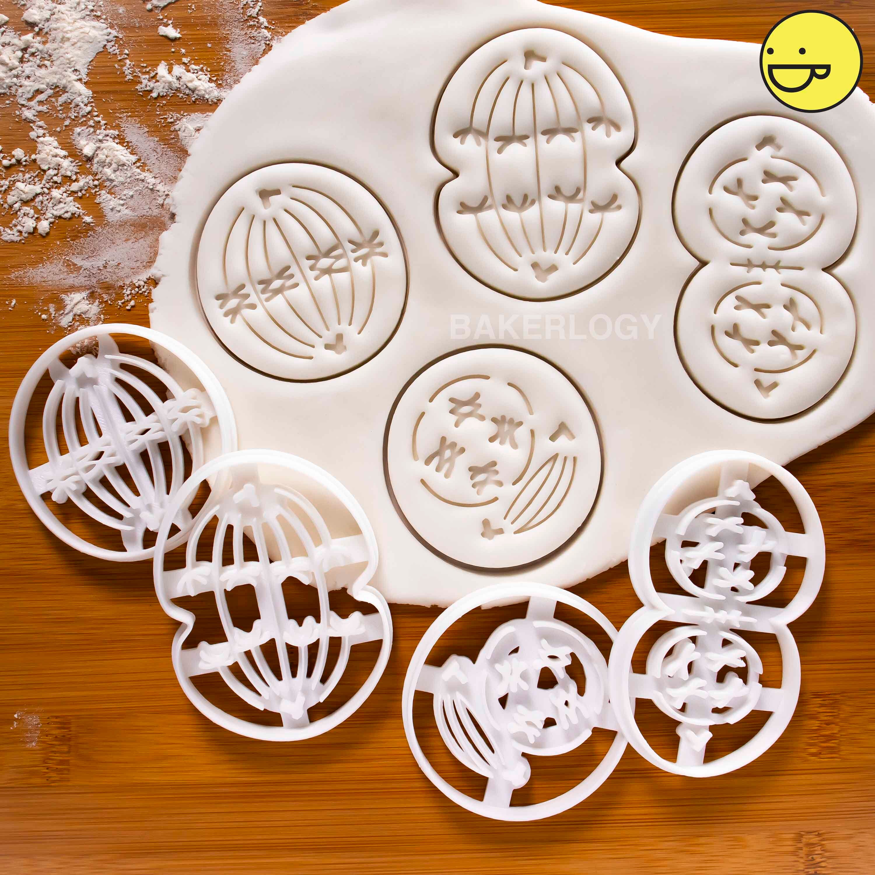 Meiosis I Prophase I Cookie Cutter Bakerlogy Biscuit Cutters | Etsy UK