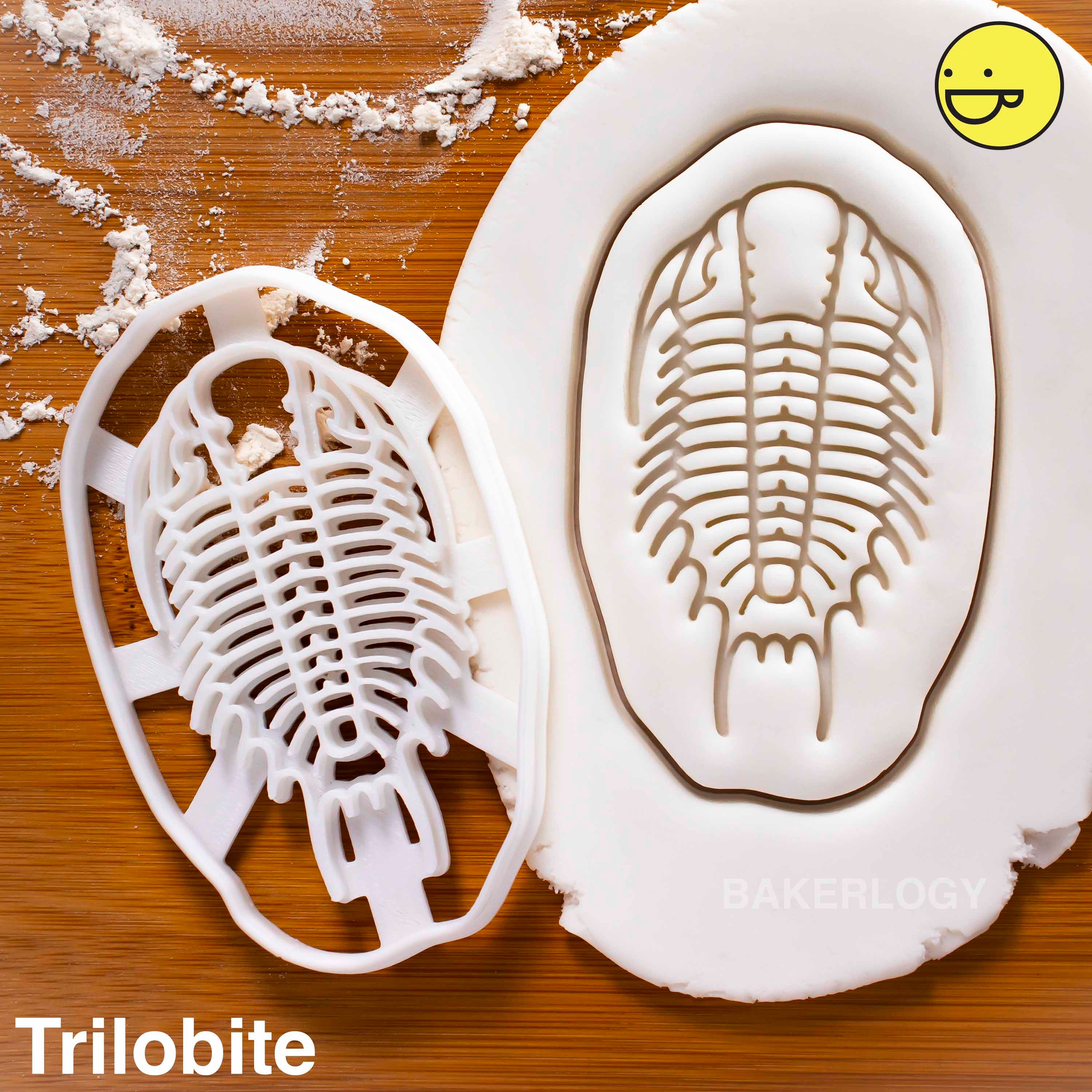 Trilobite Cookie Cutter Bakerlogy Biscuit Cutters Extinct | Etsy UK