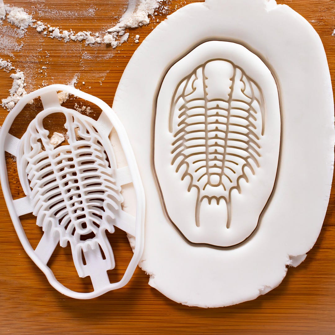 Trilobite Cookie Cutter: Fossil Design for Paleontology & Science ...
