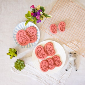 20-week Fetal Development Cookie Cutter: Pregnancy Announcement - Etsy