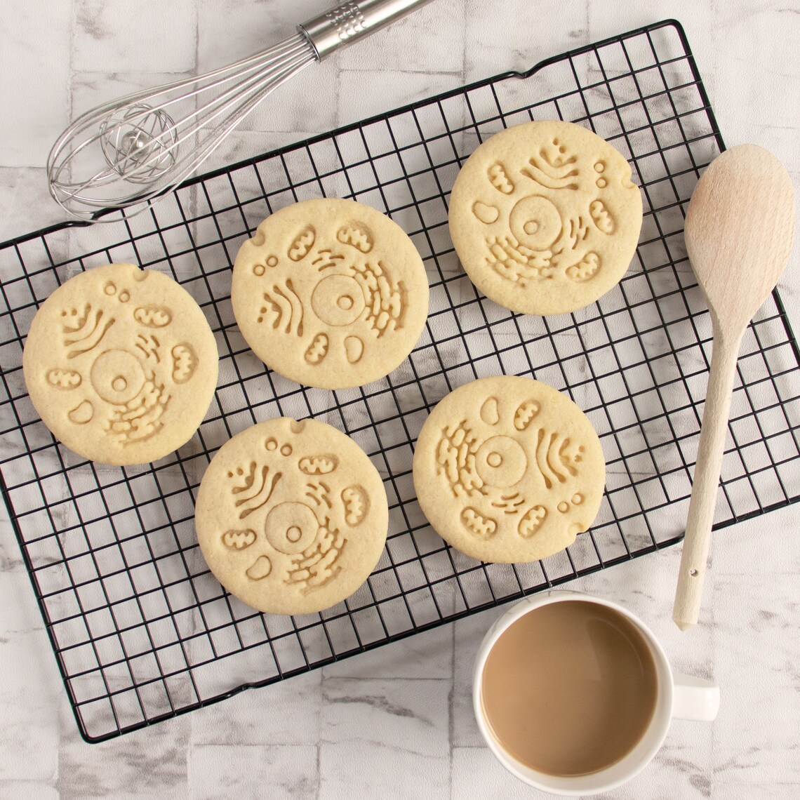 Plant Cell Cookie Cutter Biscuit Cutters Gifts Botanist - Etsy