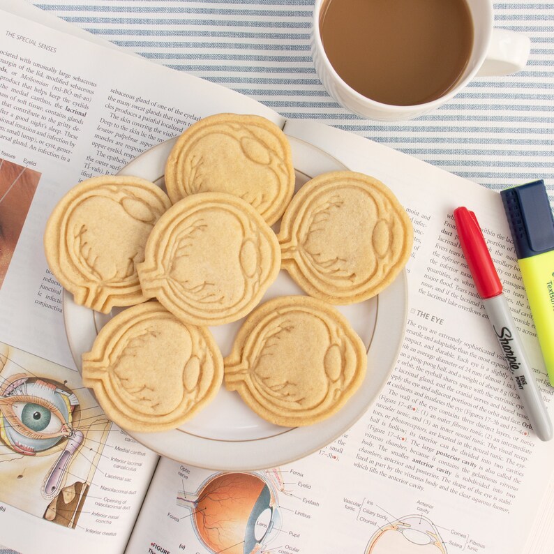 Anatomical Eyeball Cookie Cutter – Human Eye Shape for Opticians ...