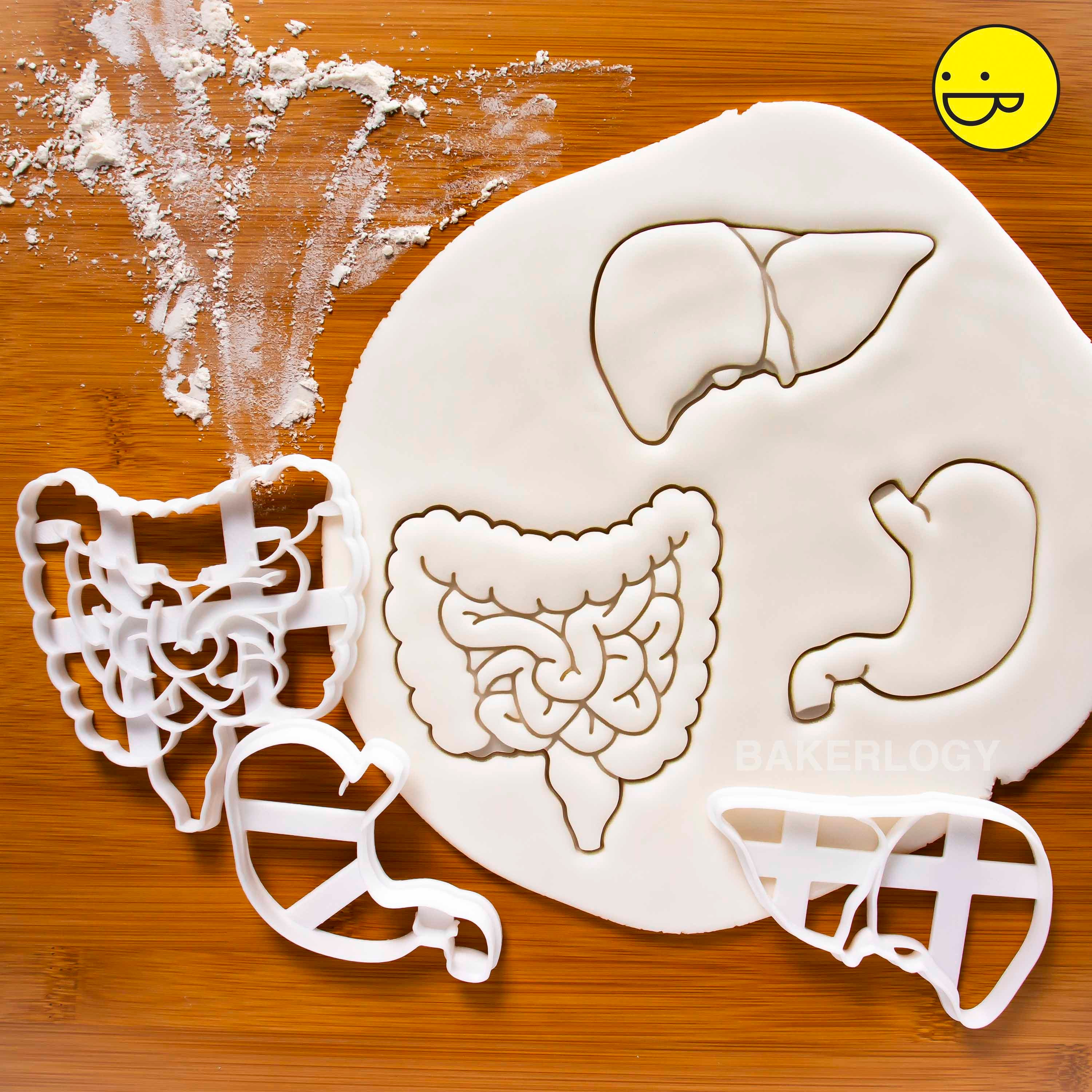Intestines Stomach & Liver cookie cutter biscuit cutters | Etsy