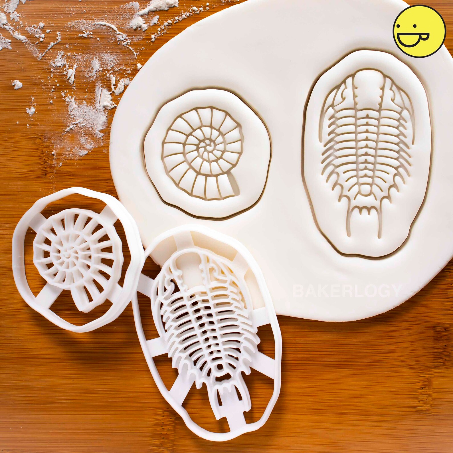 Trilobite Cookie Cutter Bakerlogy Biscuit Cutters Extinct - Etsy