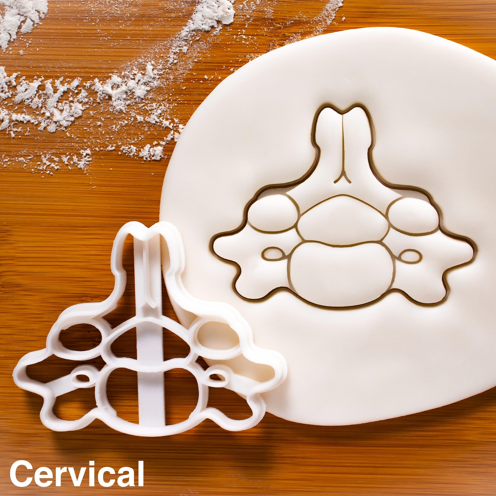Lumbar Vertebra Cookie Cutter - Medical Science Human Spine Anatomy ...