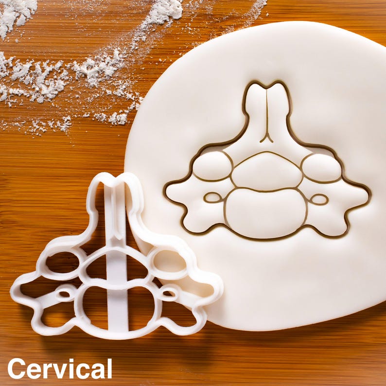 Lumbar Vertebra Cookie Cutter - Medical Science Human Spine Anatomy ...