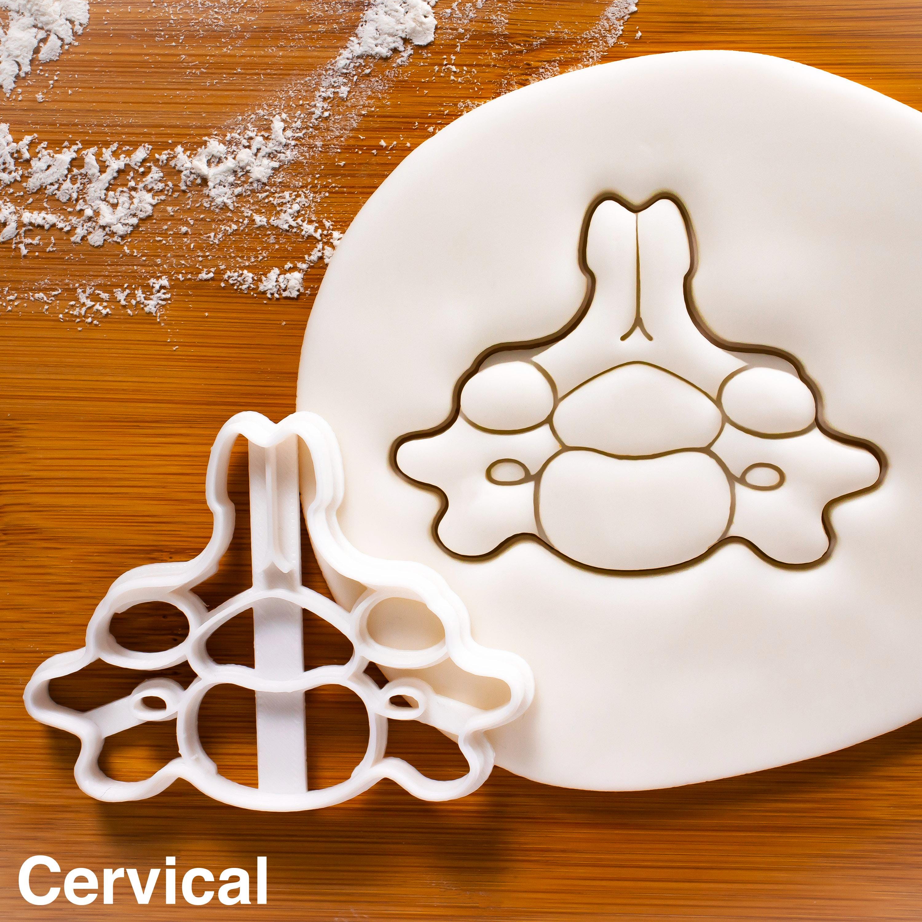 Lumbar Vertebra Cookie Cutter - Medical Science Human Spine Anatomy ...