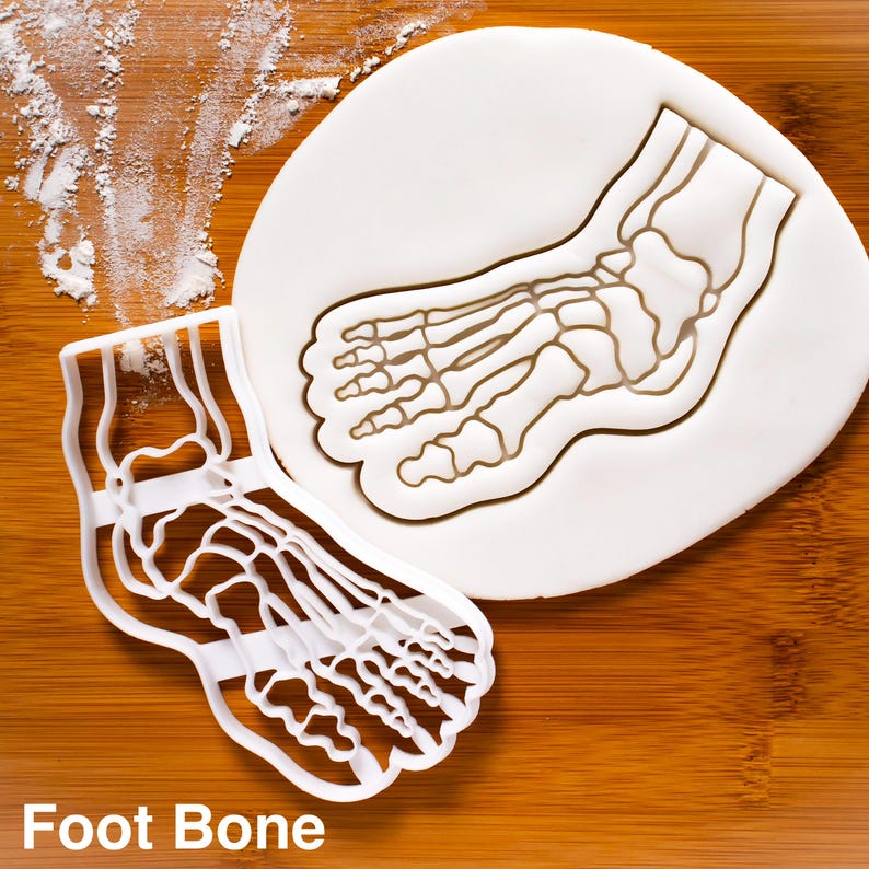 X-ray Knee Bone Cookie Cutter – Human Anatomy, Skeleton, Medical Theme ...