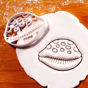 Cowrie Shell Cookie Cutter – Perfect for Nautical, Mermaid, and Beach ...