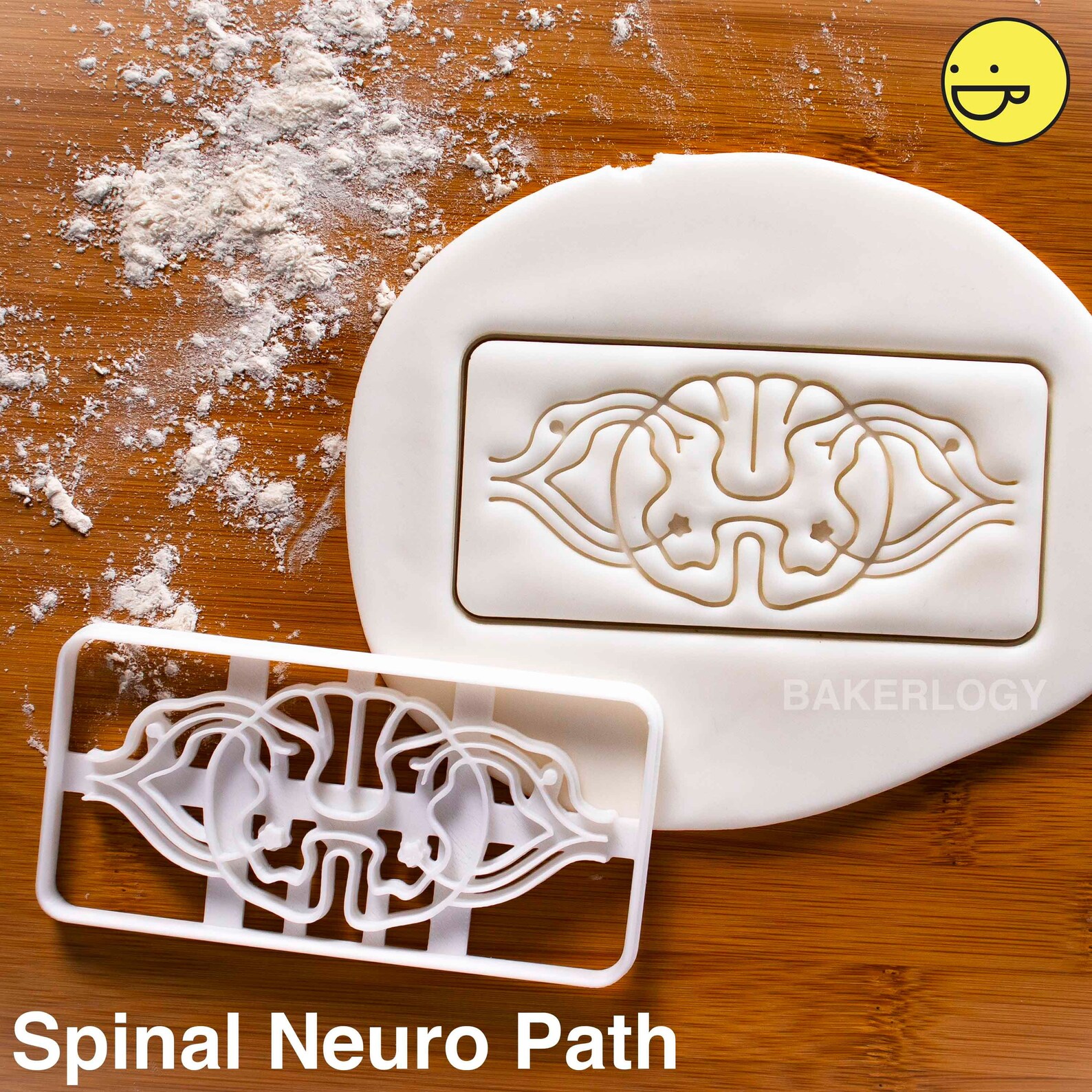 Spinal Transverse Cookie Cutter Bakerlogy Biscuit Cutters | Etsy