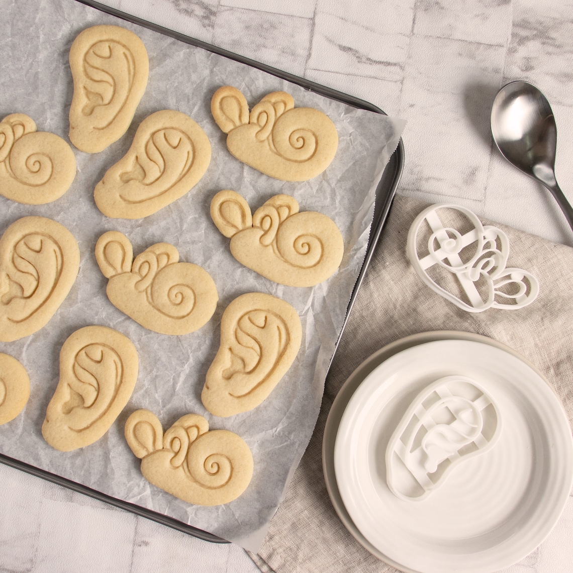 Anatomical Human Ear Cookie Cutter Cochlea Biscuit Cutter - Etsy