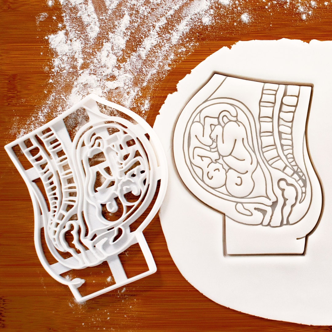 Twins Pregnant Womb With Vertex Vertex Fetuses Cookie Cutter - Unique ...