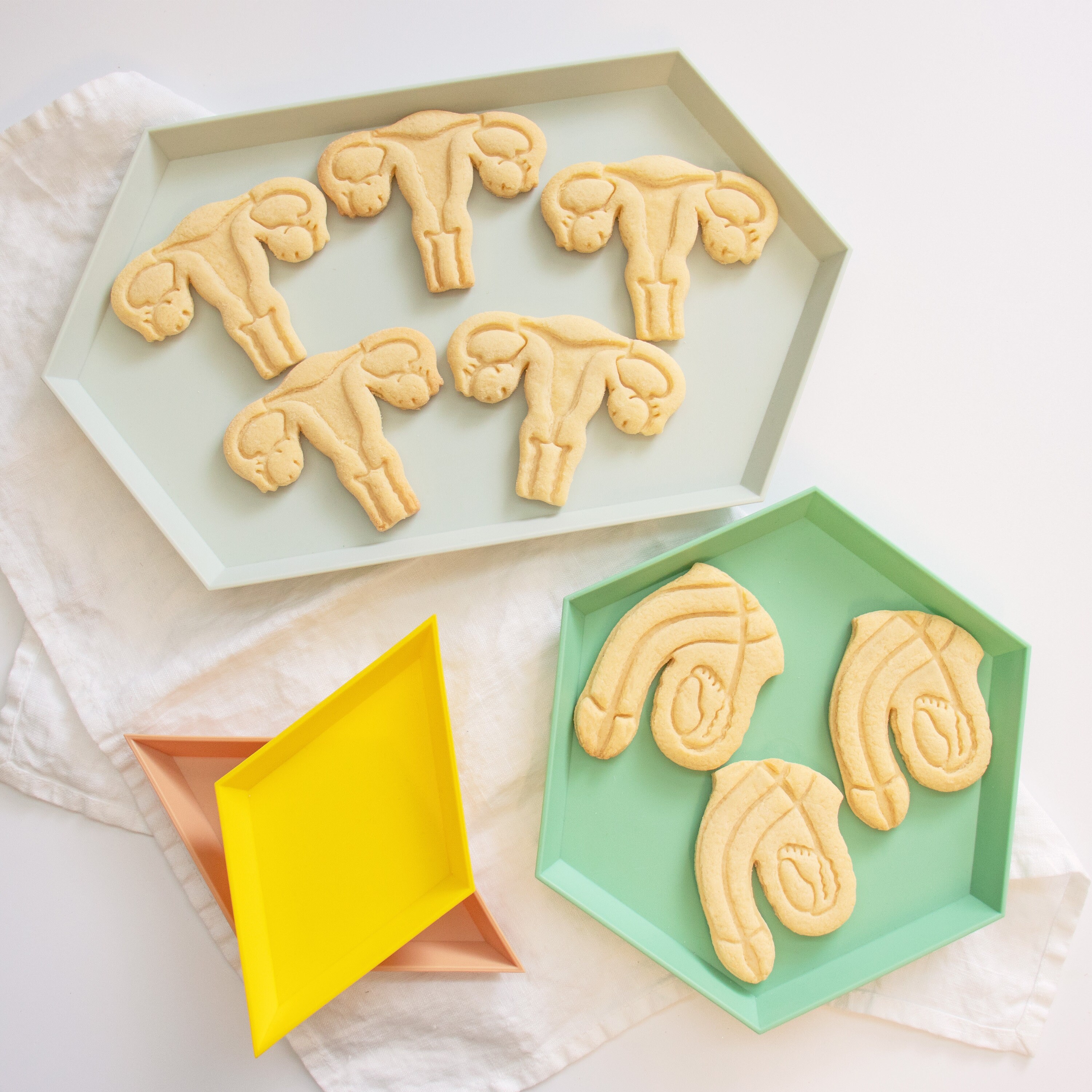 Uterus Cookie Cutter | Womb Anatomy Physiology Medicine Cervical Cancer ...