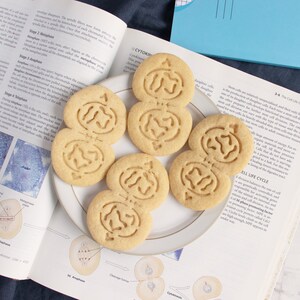 Prophase Cookie Cutter | Mitosis Biscuit Cutters Cell Cycle ...