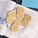 Prophase Cookie Cutter: Mitosis Cell Cycle Design for Biology & Science ...