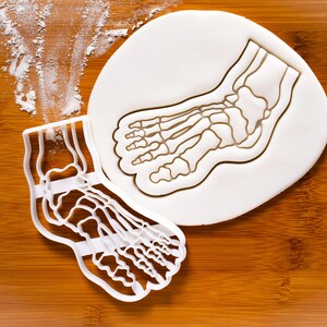 X-ray Knee Bone Cookie Cutter – Human Anatomy, Skeleton, Medical Theme ...