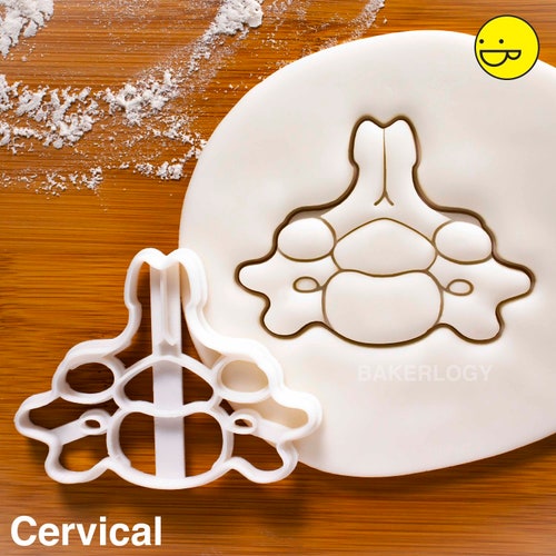 Lumbar Vertebra Cookie Cutter Medical Science Human Spine - Etsy