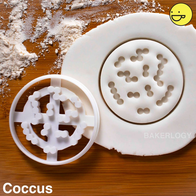 Bacillus Bacteria Cookie Cutter Microbiology Biscuit Cutters - Etsy