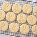 Bacteria Cookie Cutter Microbiology Biscuit Cutters Microbiologist ...