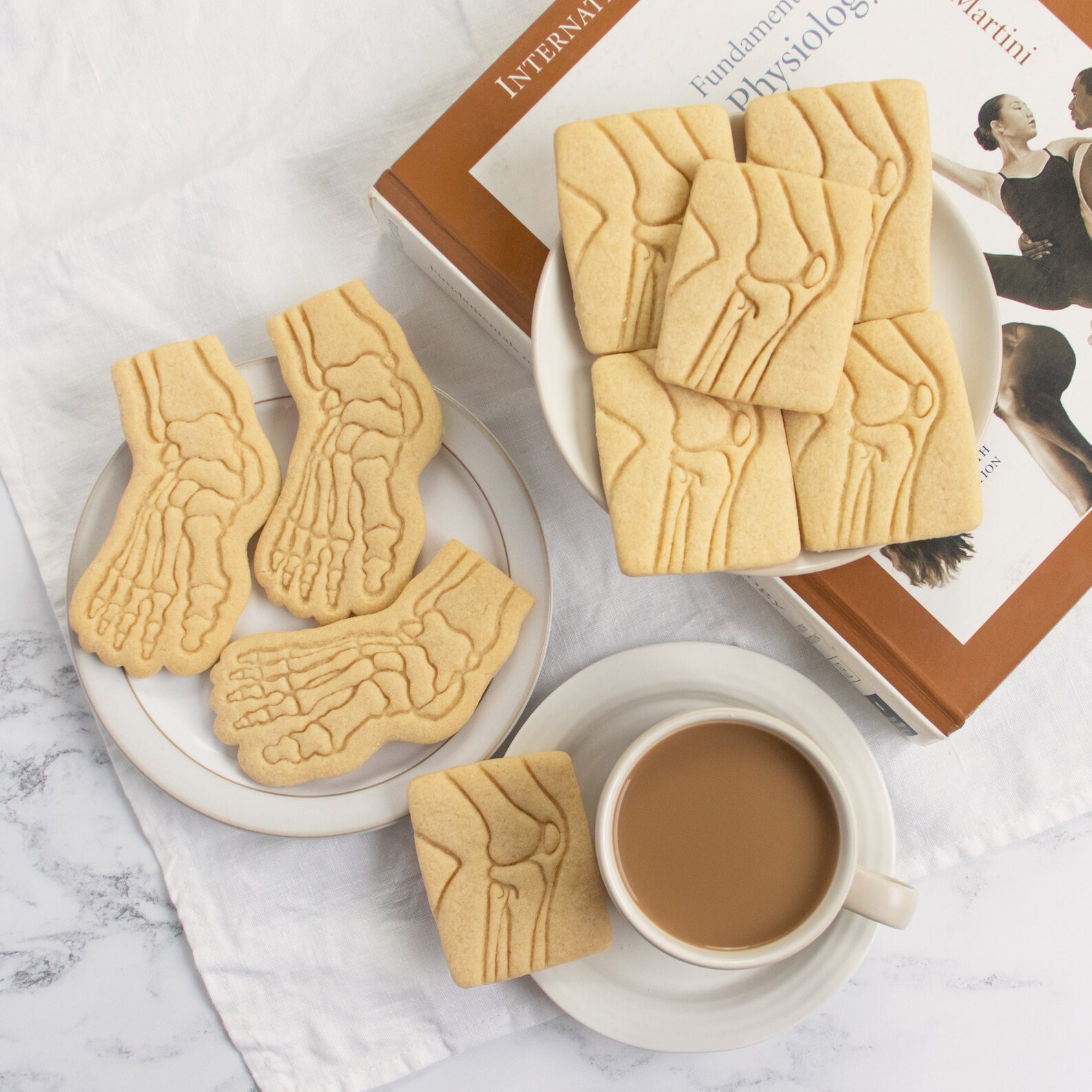 Anatomical Human Foot Cookie Cutter Biscuit Cutters Gifts - Etsy