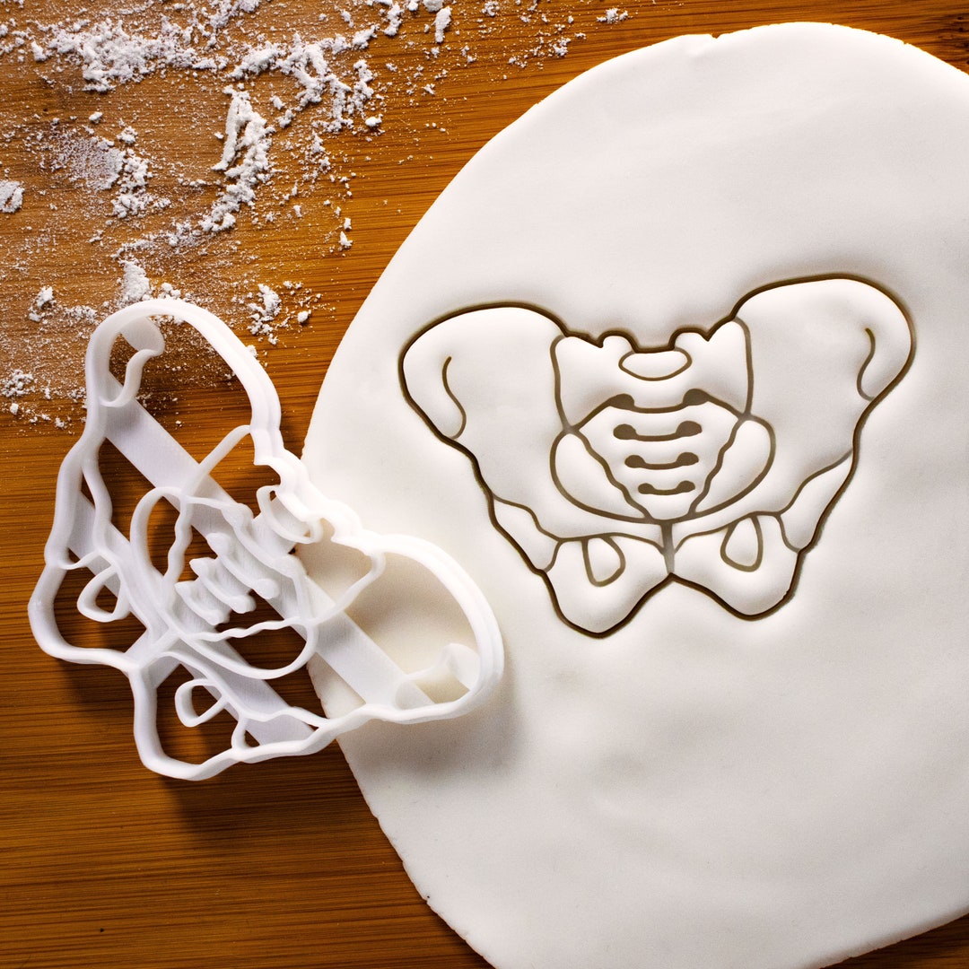 Female Pelvis Cookie Cutter and Male Pelvis Biscuit Cutter gifts ...