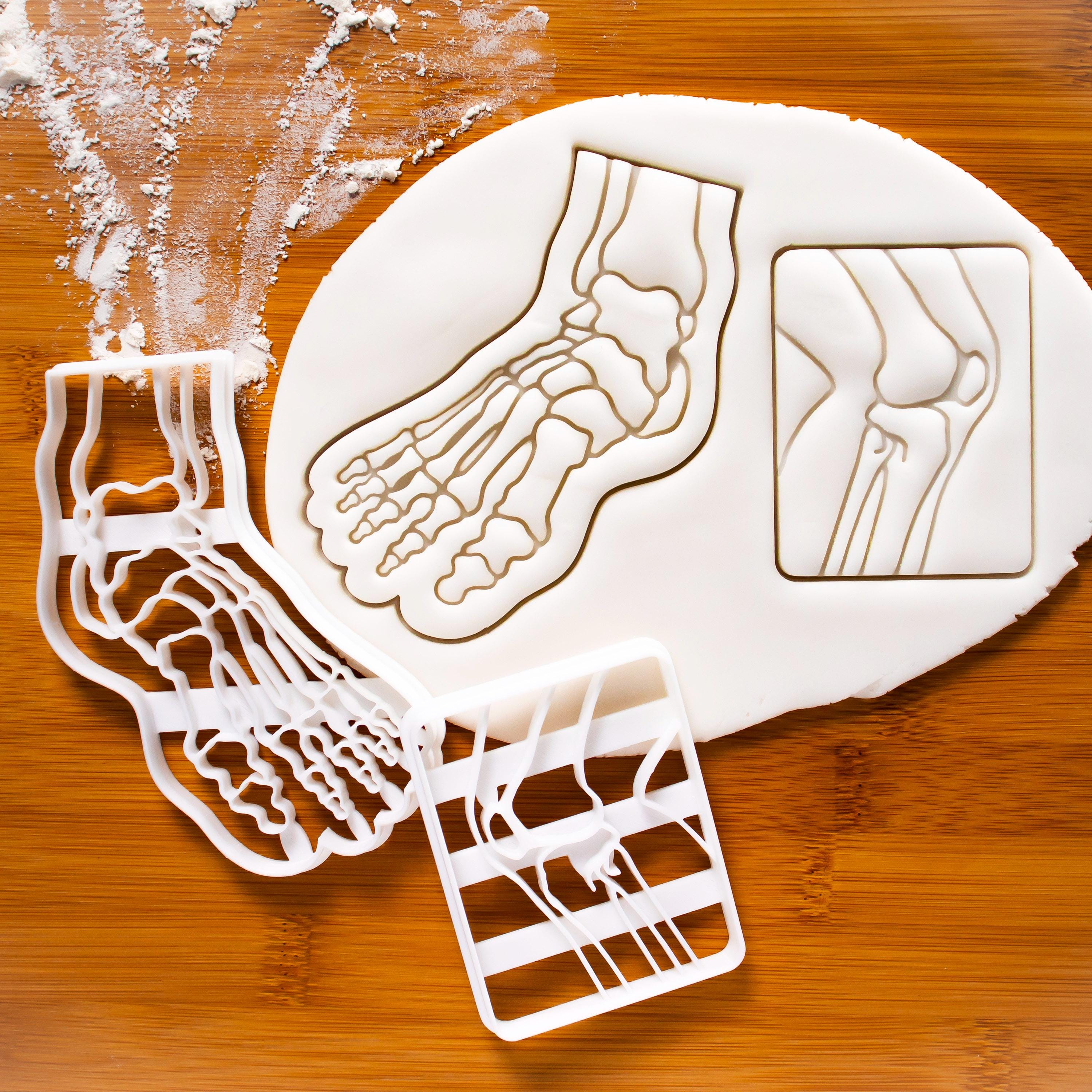 Anatomical Human Foot Cookie Cutter – Podiatry Shape for Medical ...