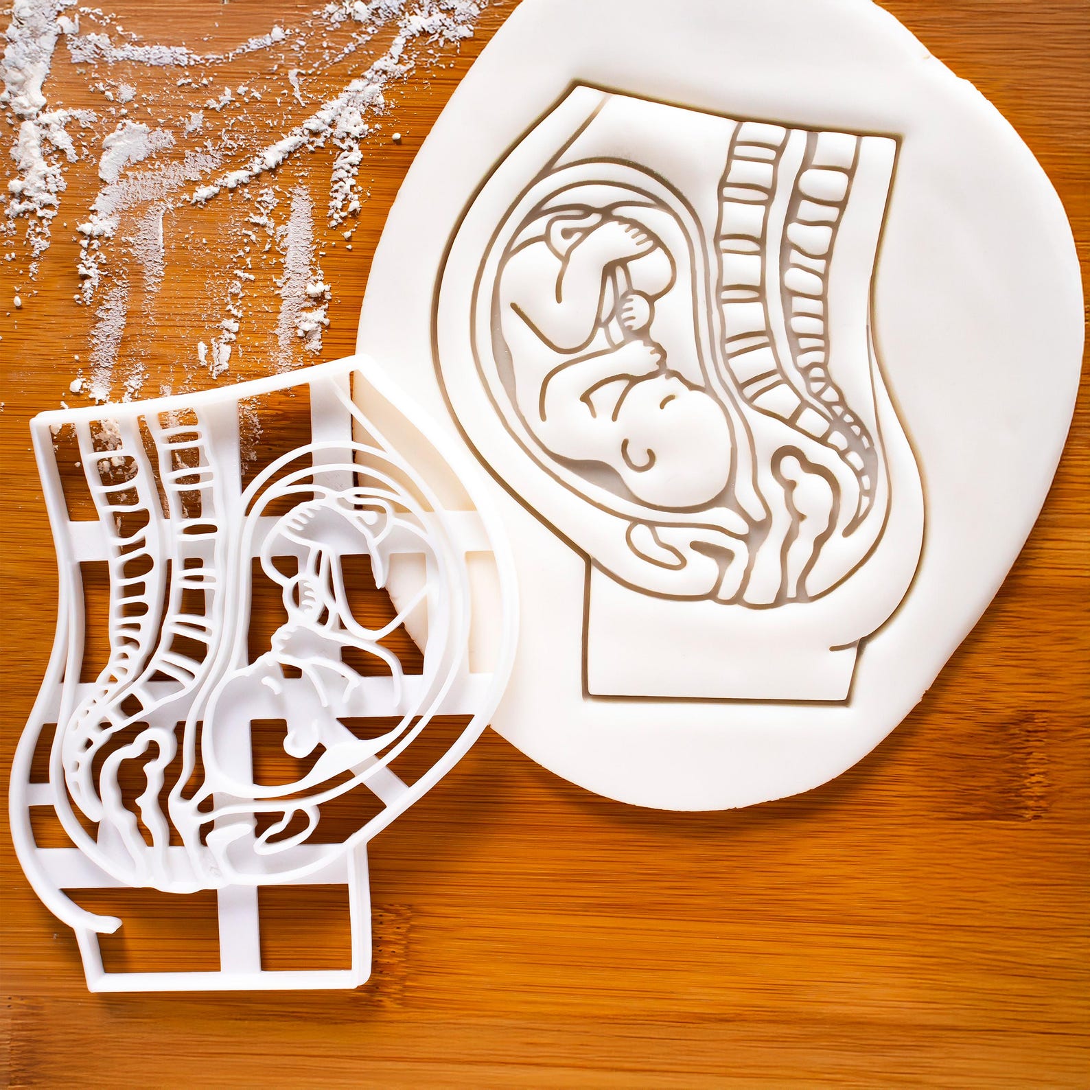 Pregnant Womb With Fetus Cookie Cutter | Anatomy Physiology Medicine ...