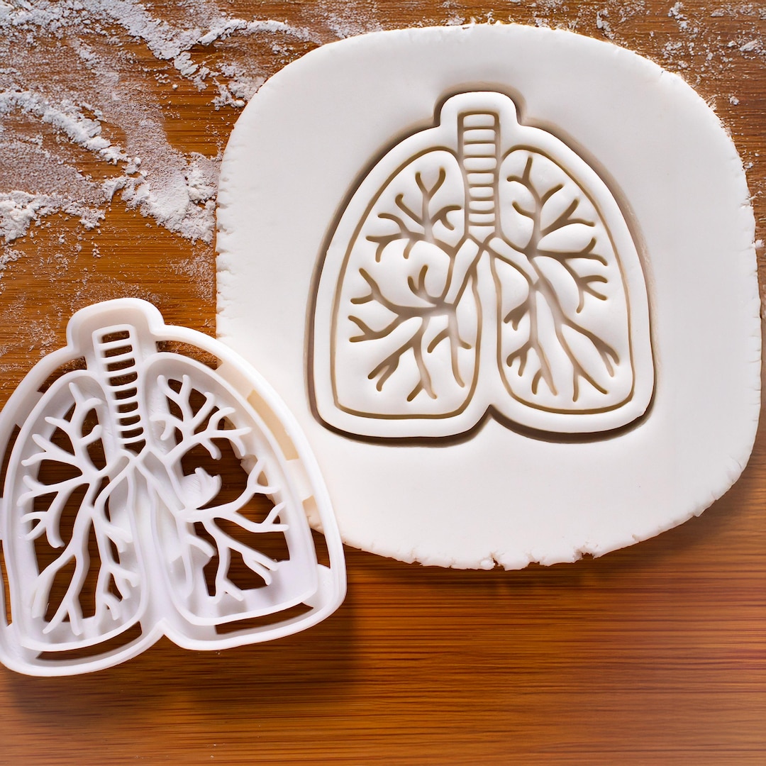 Lungs Cookie Cutter: Human Anatomy Design for Medical Students ...