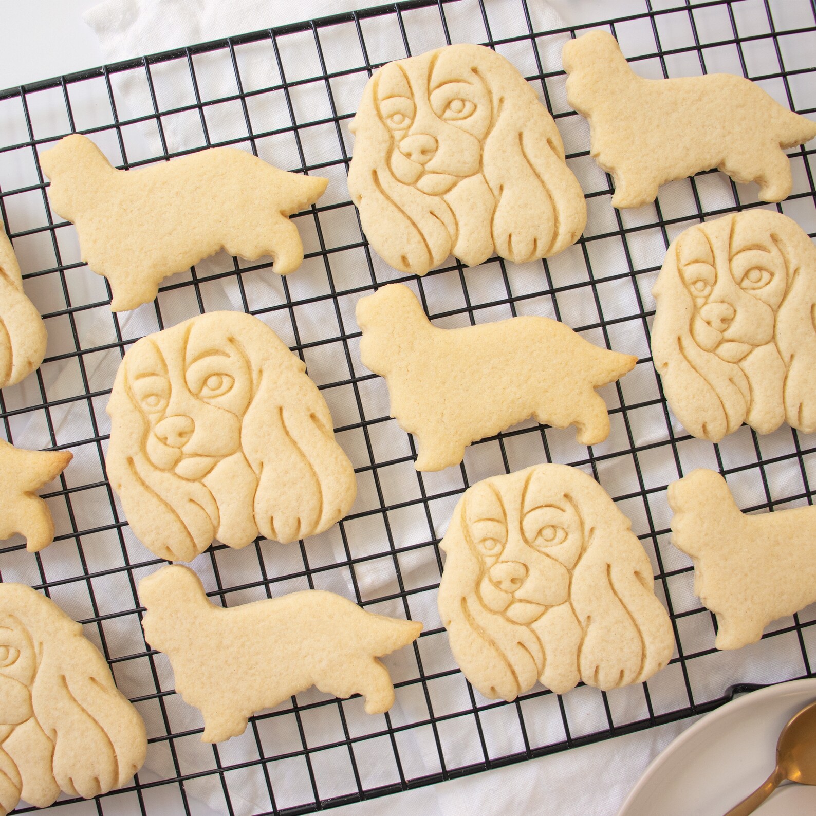 Cavalier King Charles Spaniel Cookie Cutter (full-body): Dog Treat ...