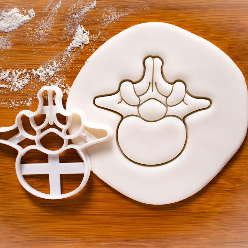 Lumbar Vertebra Cookie Cutter - Medical Science Human Spine Anatomy ...