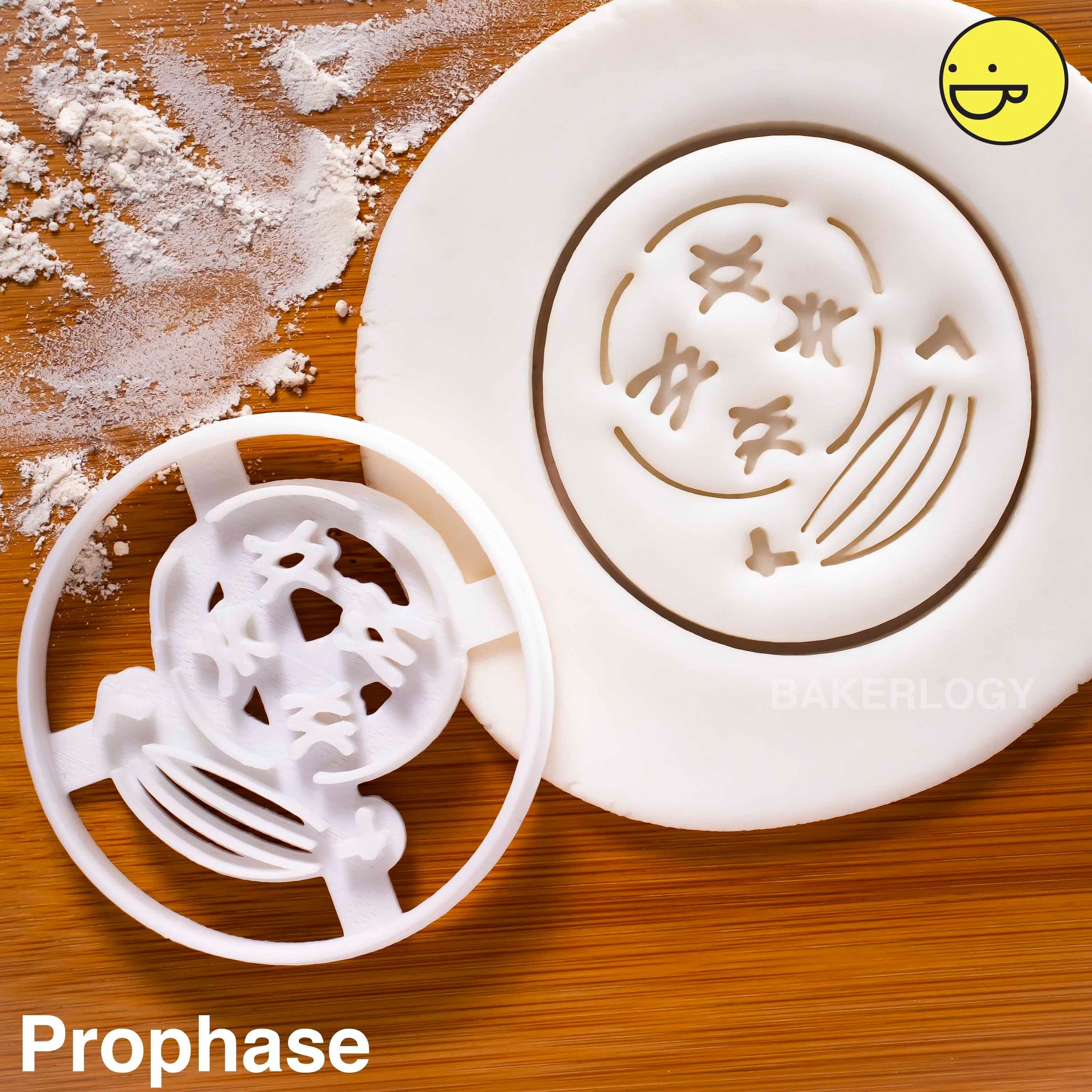 Meiosis I Prophase I Cookie Cutter Bakerlogy Biscuit Cutters - Etsy UK