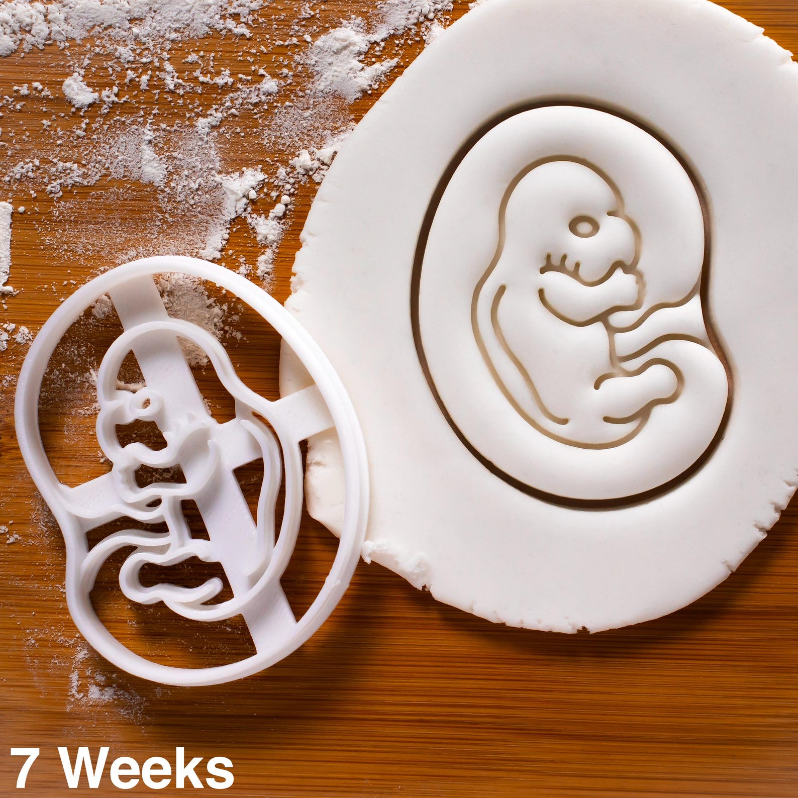 20-week Fetal Development Cookie Cutter: Pregnancy Announcement - Etsy UK