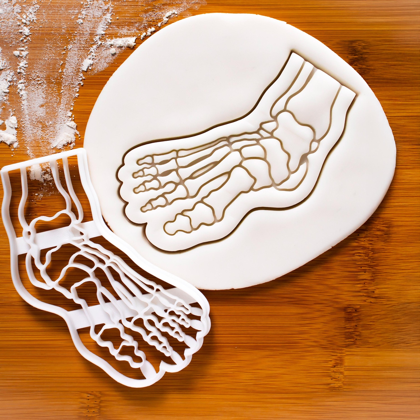 Anatomical Human Foot Cookie Cutter – Podiatry Shape for Medical ...