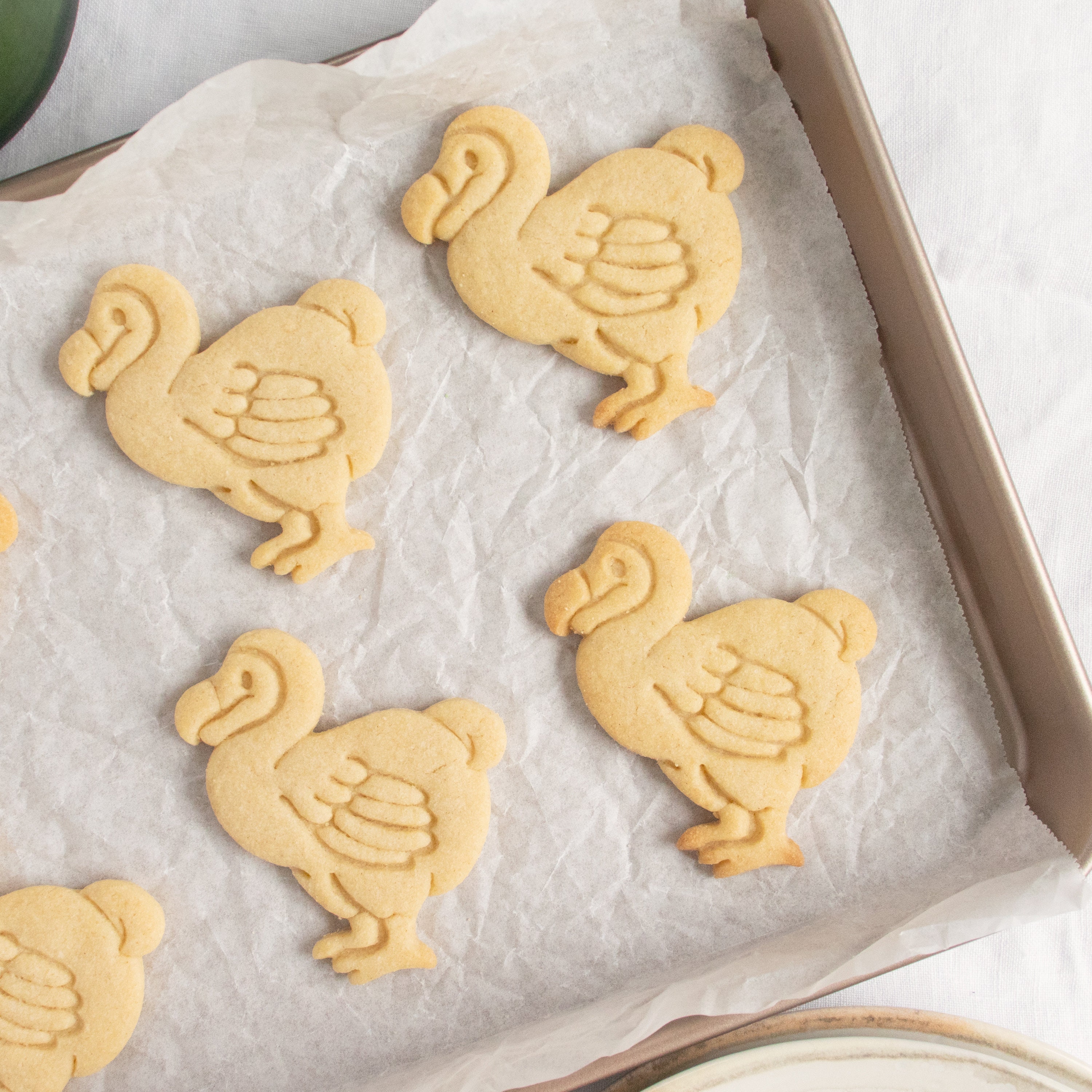 Dodo Bird Cookie Cutter Extinct Animal Dodos Biscuit Cutters - Etsy UK