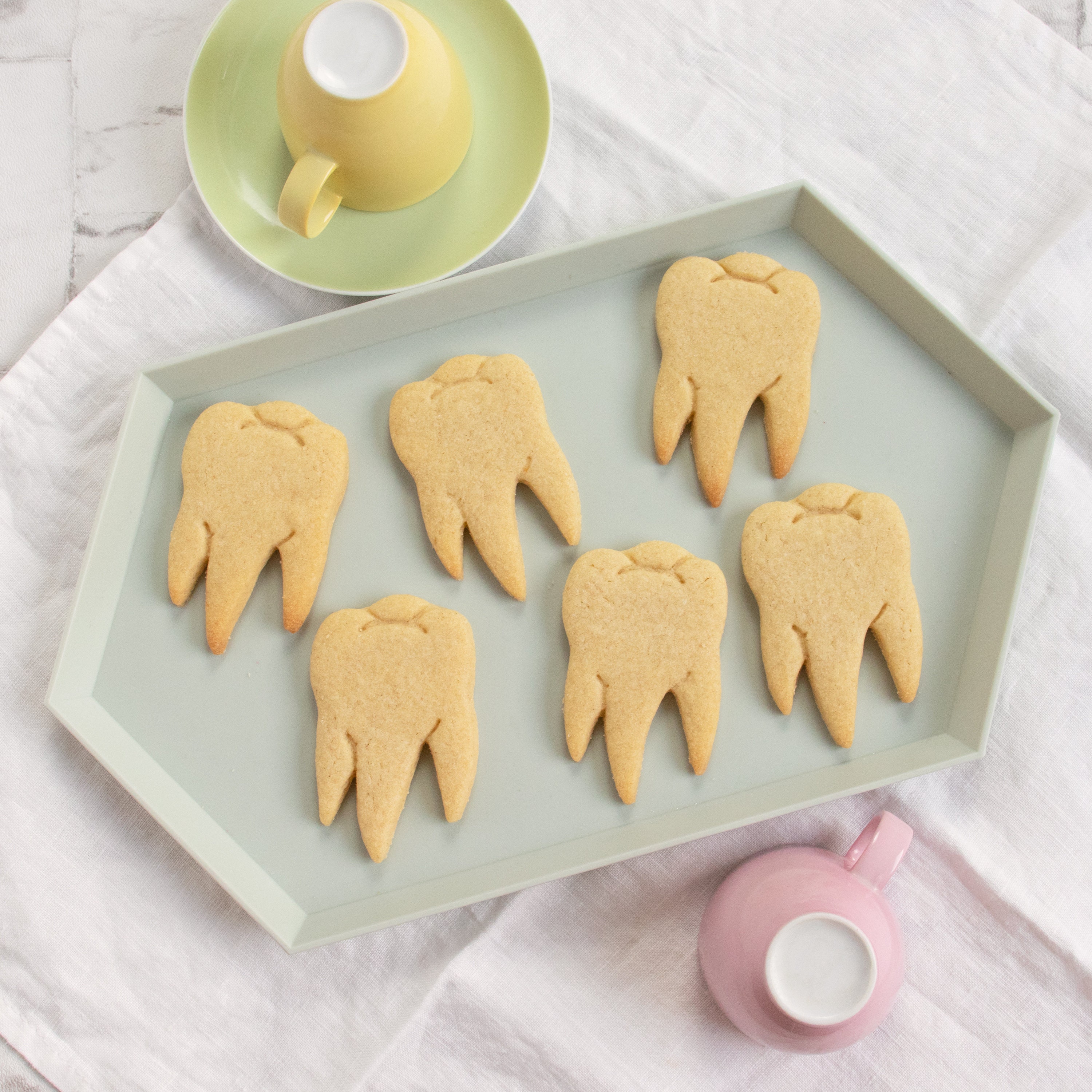 Anatomical Molar Tooth Cookie Cutter – Dentist & Dental Student Gift - Etsy