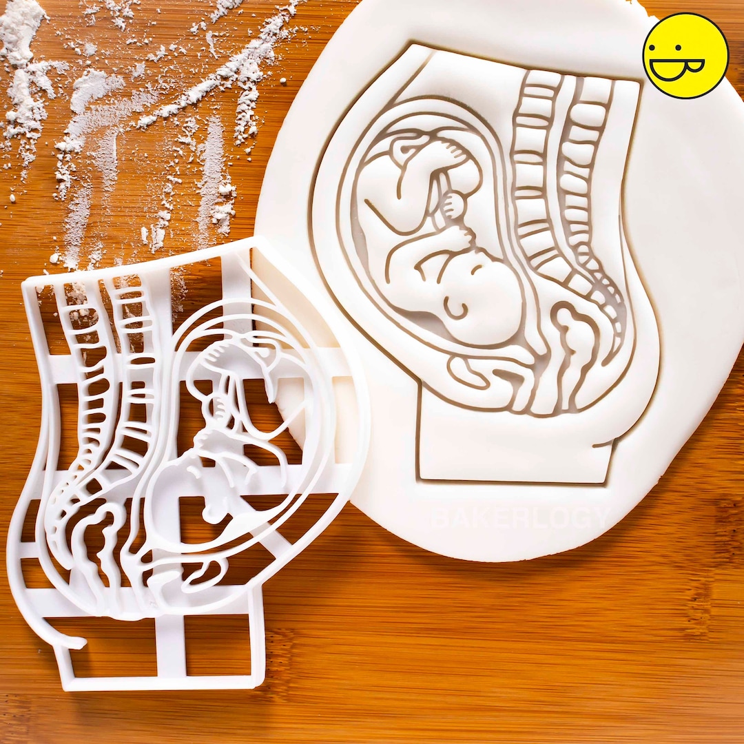 Pregnant Womb With Fetus Cookie Cutter Anatomy Physiology Medicine ...
