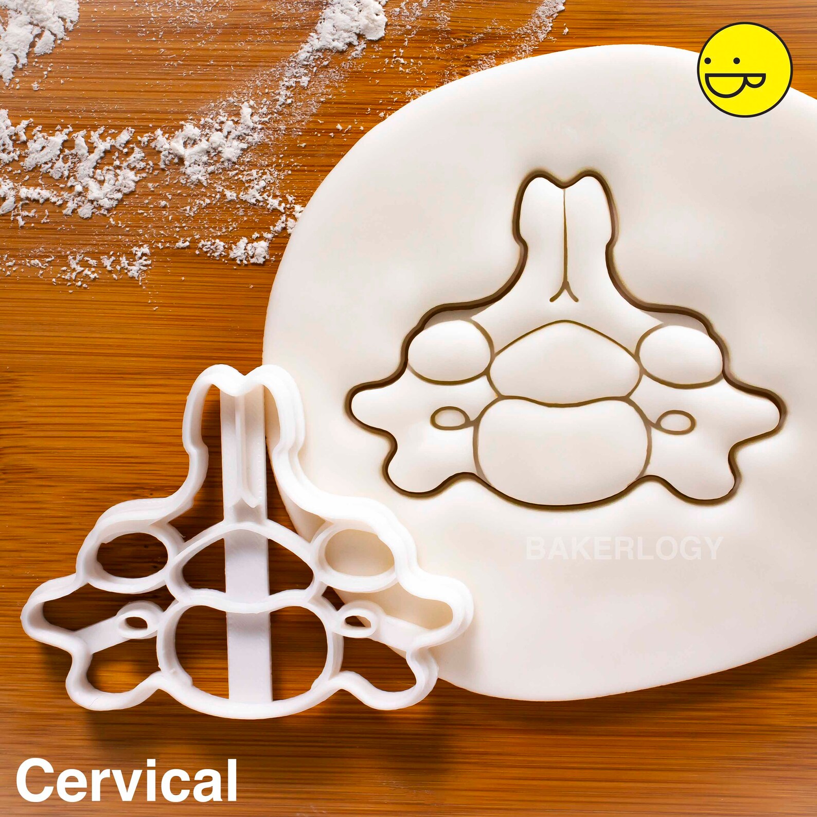 Lumbar Vertebra Cookie Cutter Medical Science Human Spine - Etsy