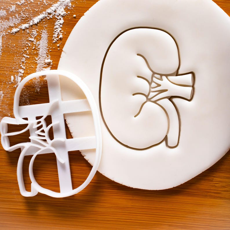 Anatomical Kidney Cookie Cutter – Renal Organ Shape for Medical ...