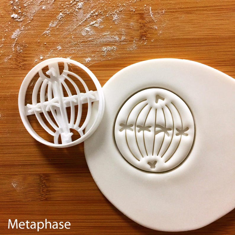 Prophase Cookie Cutter: Mitosis Cell Cycle Design for Biology & Science ...