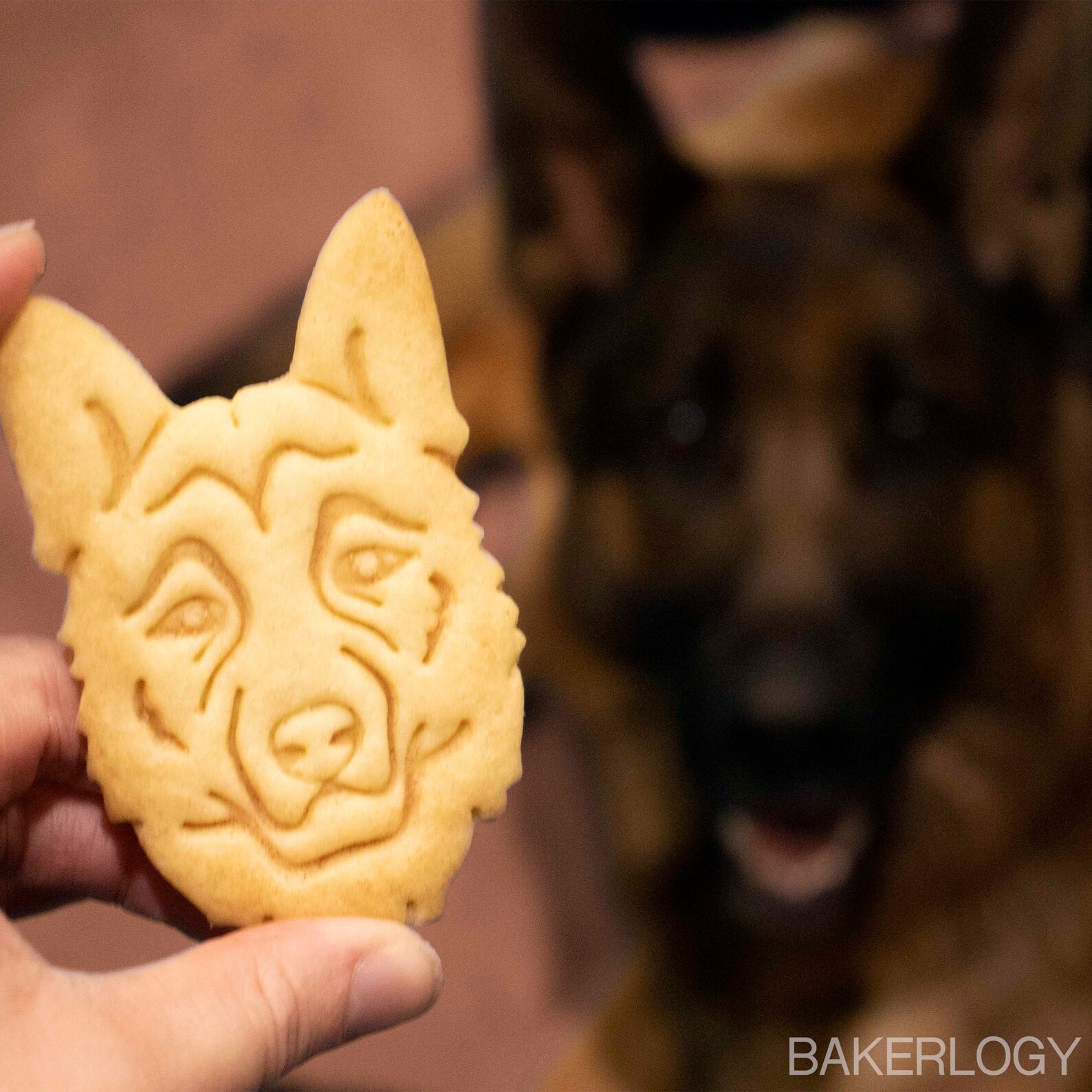 German Shepherd Body Cookie Cutter Bakerlogy Dog Biscuit | Etsy