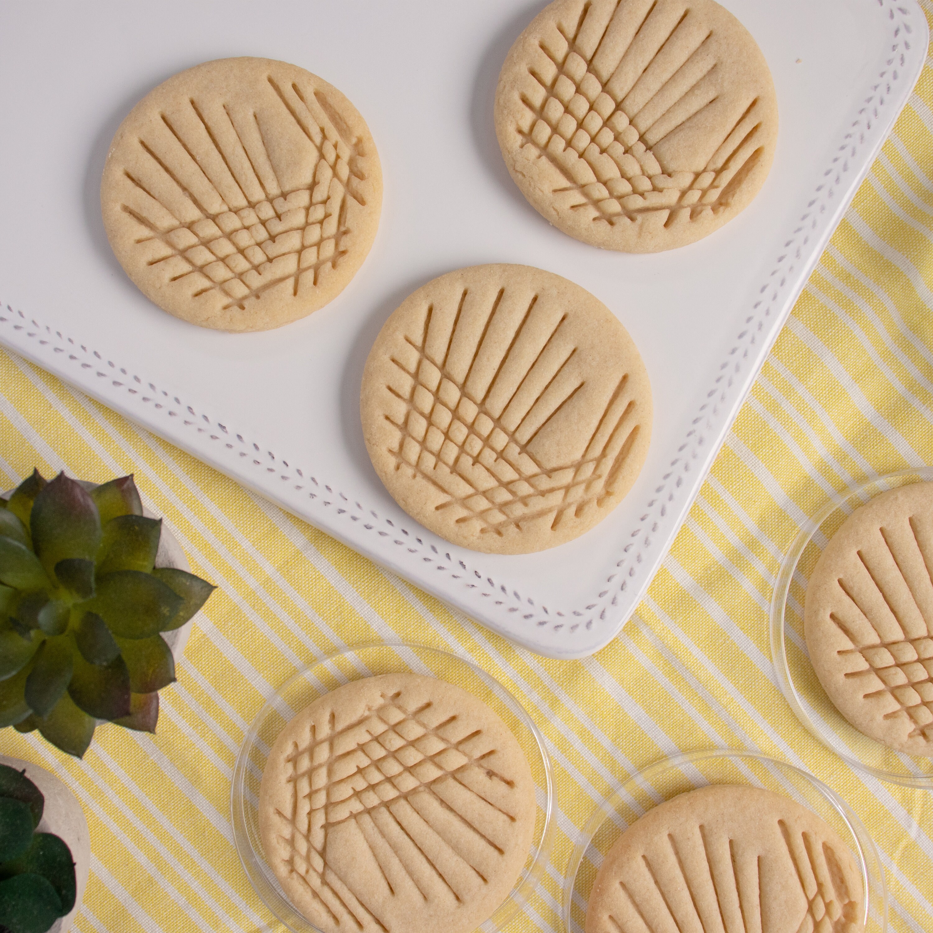 Continuous Streak Cookie Cutter: Petri Dish for Lab & Science ...