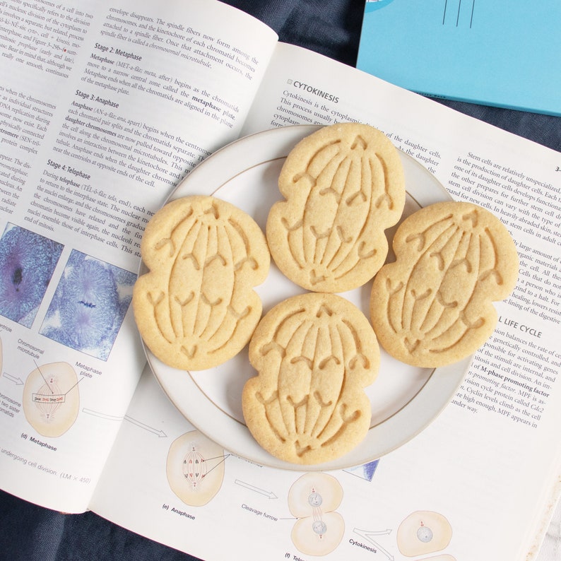 Metaphase Cookie Cutter: Mitosis Microbiology Cell Science - Etsy