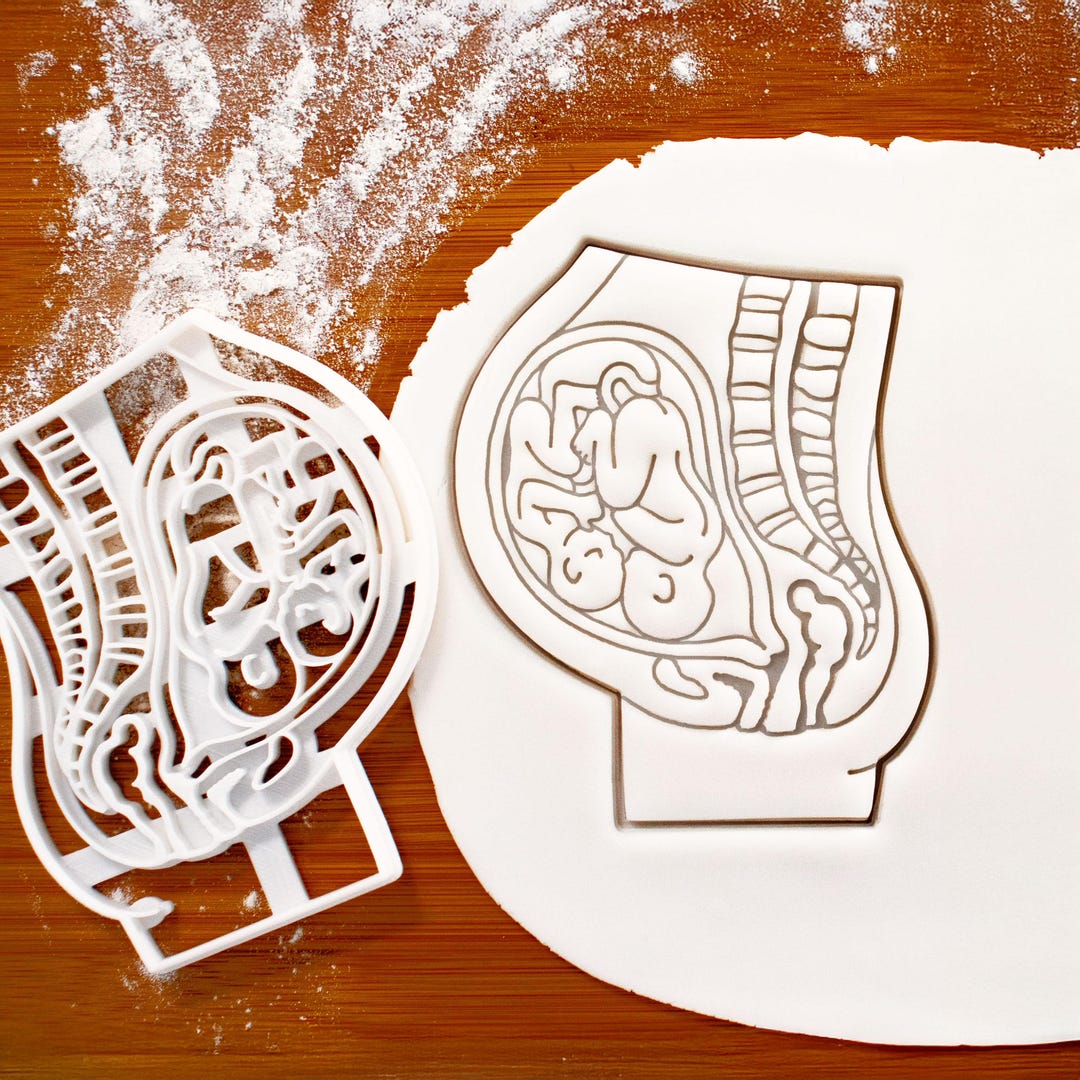 Twins Pregnancy Cookie Cutter – Pregnant Womb Vertex Design for Baby ...