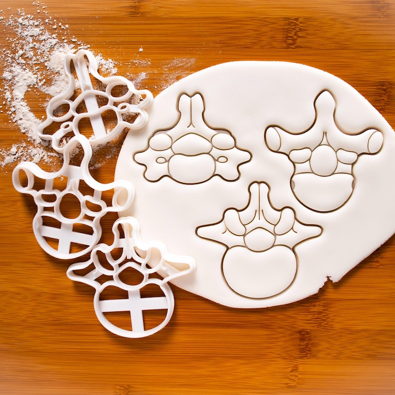 Lumbar Vertebra Cookie Cutter - Medical Science Human Spine Anatomy ...